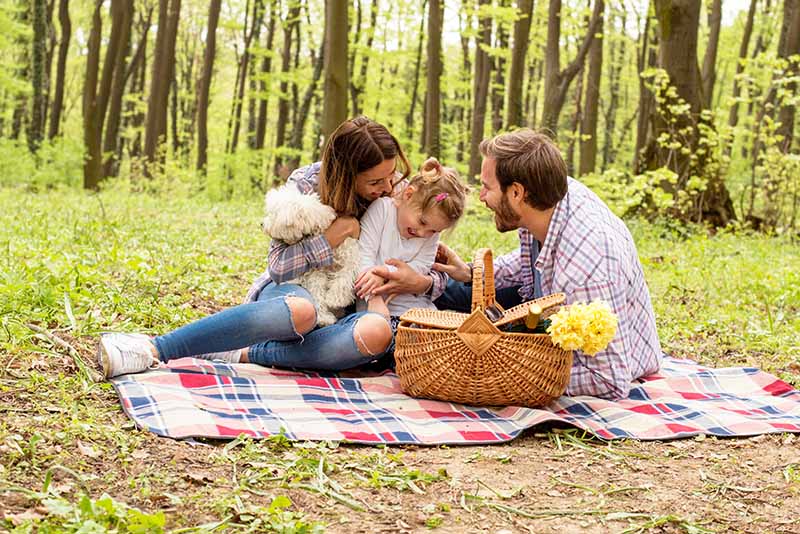 4 Fun Spring Activities for You and Your Child - Buckley Day Camp