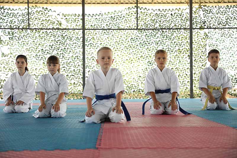 The Benefits of Martial Arts for Kids | Buckley Day Camp